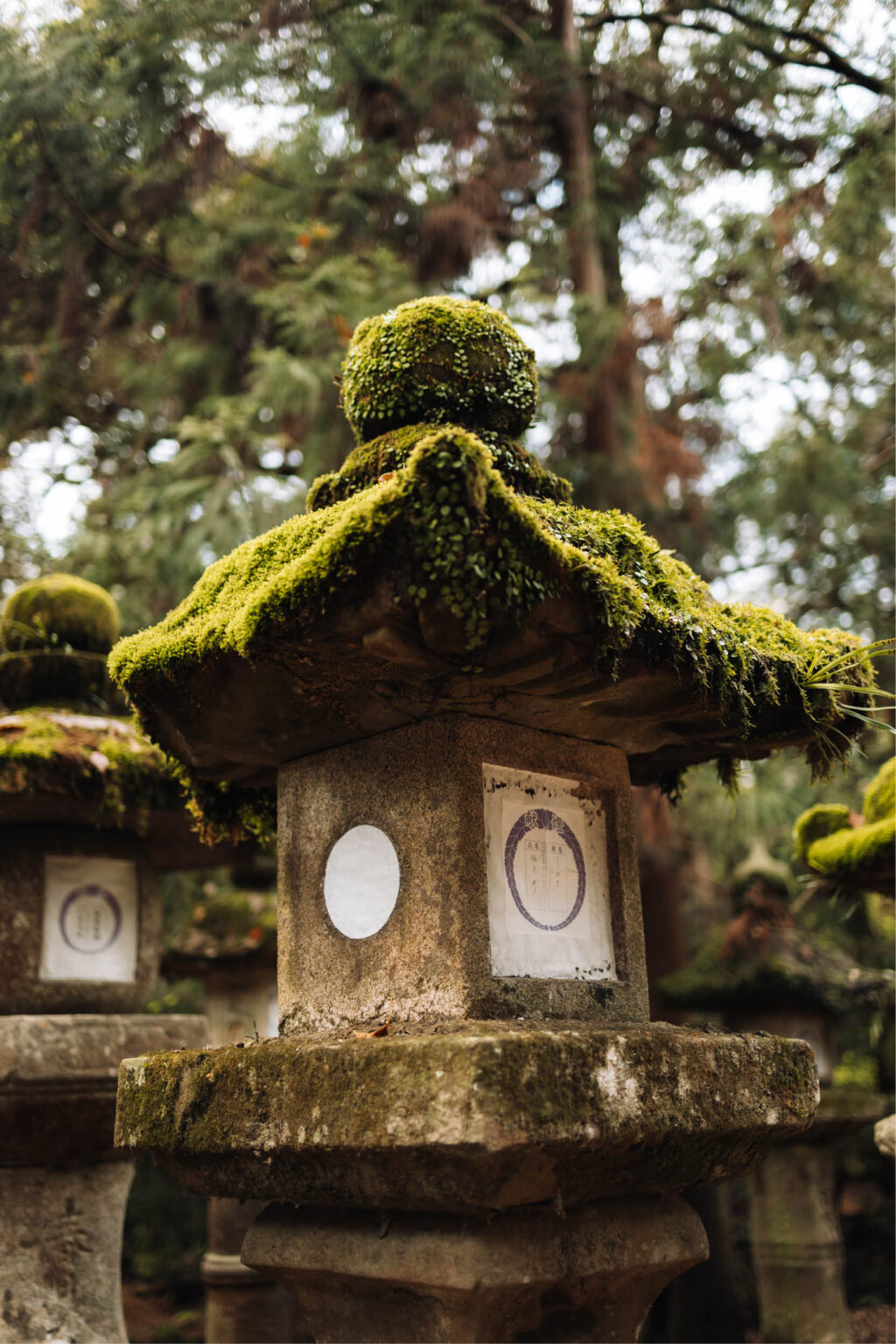 Nara, Japan: 10 dingen die je in Nara moet zien!
