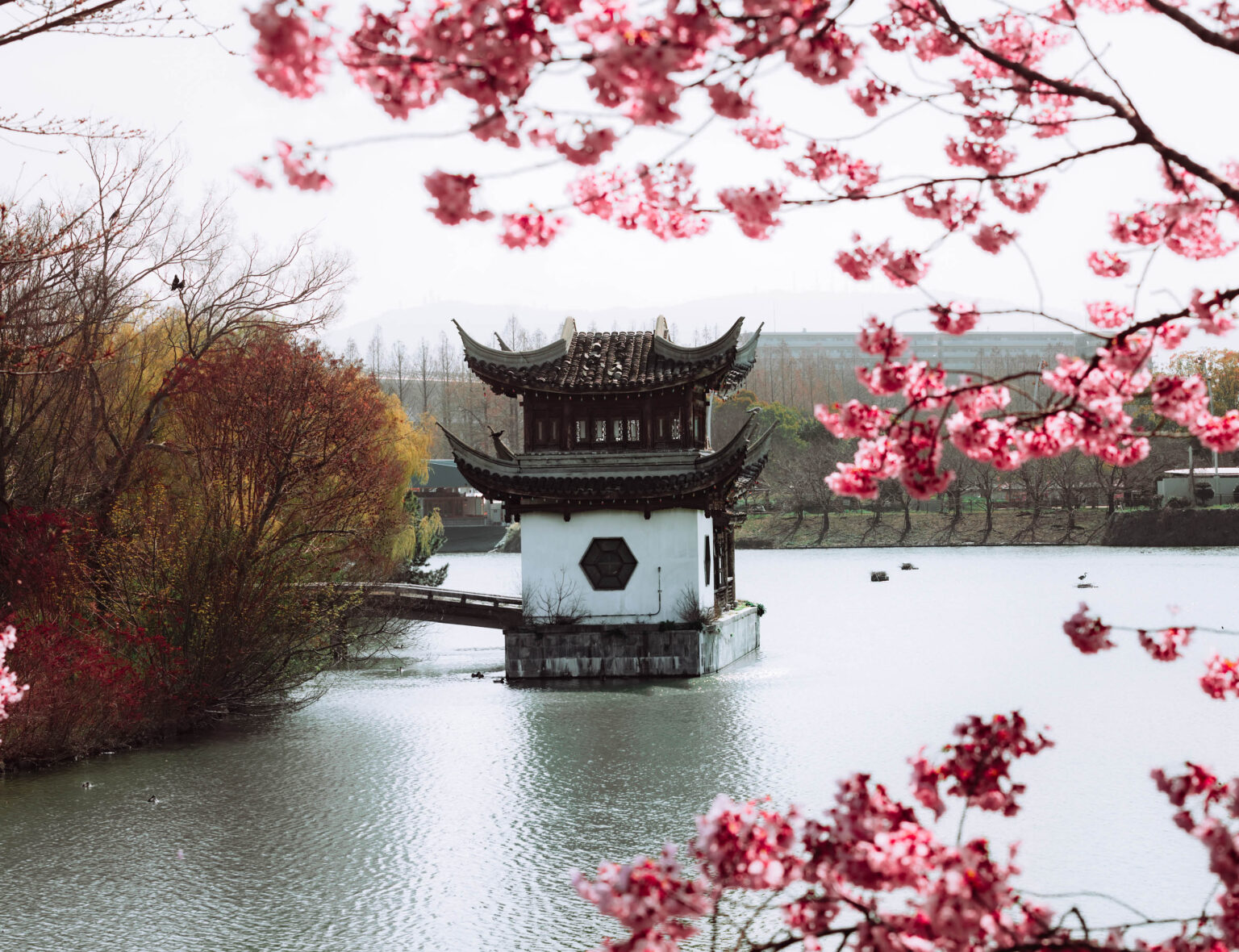 Kyoto, Japan: 22 dingen wat te doen + tips! - Reispackers